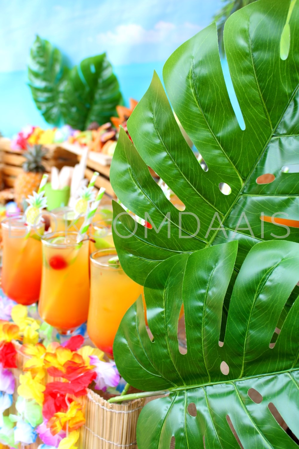 Matthew's Colourful Tropical Island Party in the Backyard