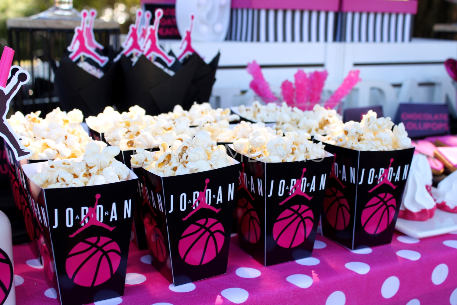How Amazing is Jordan's Air Jordan Party in the Park?