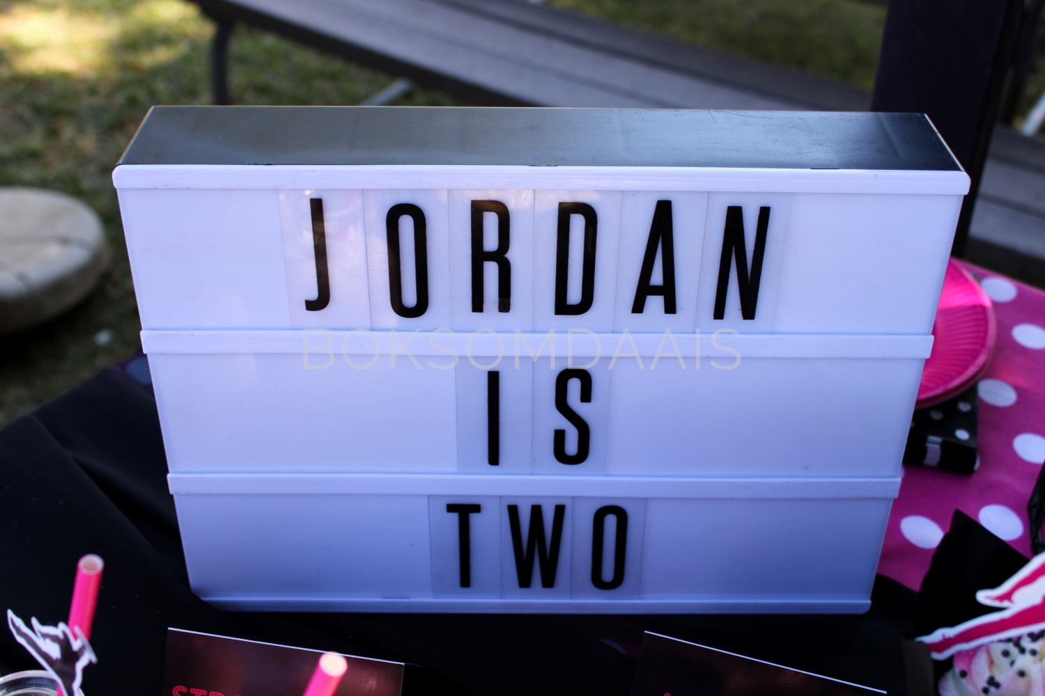 How Amazing is Jordan's Air Jordan Party in the Park?