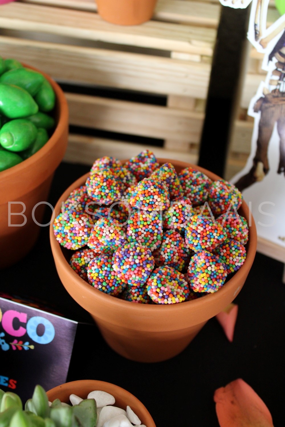 You Will Love Kai and Zahra's Colourful Coco Party