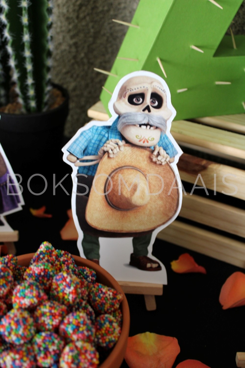 You Will Love Kai and Zahra's Colourful Coco Party