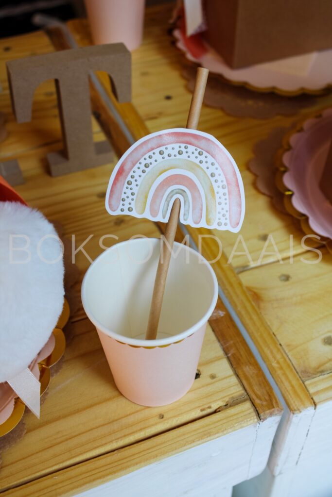 Feast Your Eyes on this Beautiful Boho Rainbow Party