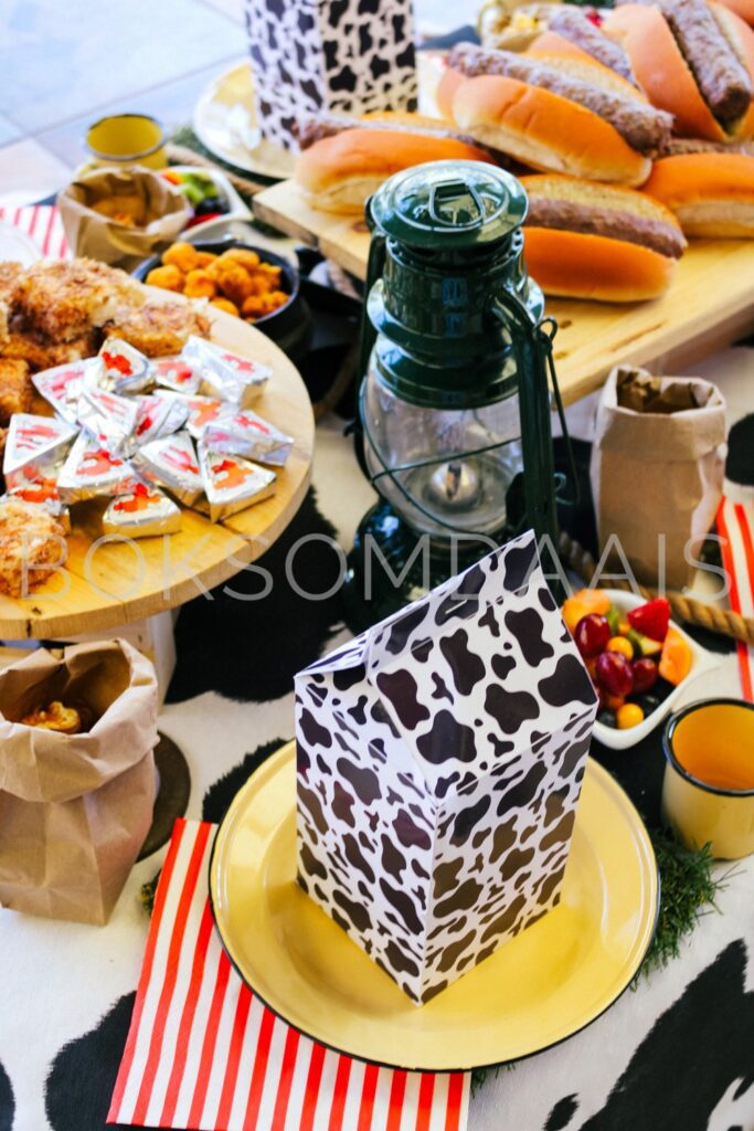 Boeresport Children's Party Ideas by Boksomdaais Boutique Events